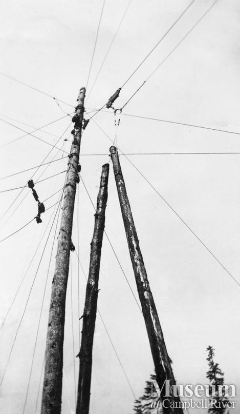 A fully rigged spar tree | Campbell River Museum - Online Gallery